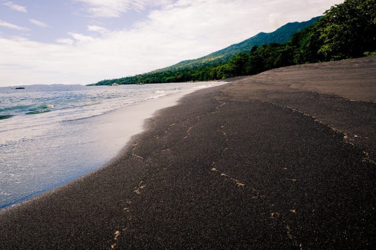 Tangkoko National Park & Nature Reserve In Manado, Sulawesi