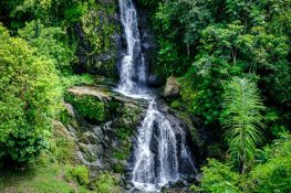 51 Best Things To Do In Bali, Indonesia