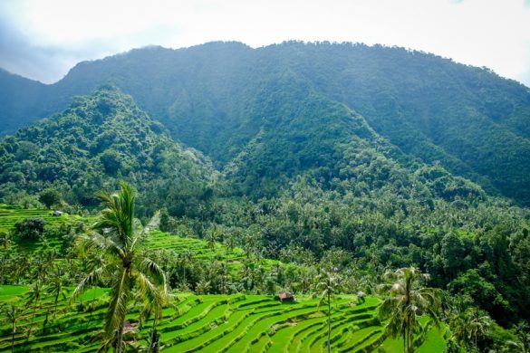 10-Day Bali Itinerary & Nusa Penida Highlights