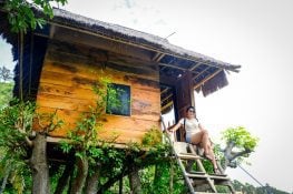 Nusa Penida Treehouse In Bali: Rumah Pohon Molenteng