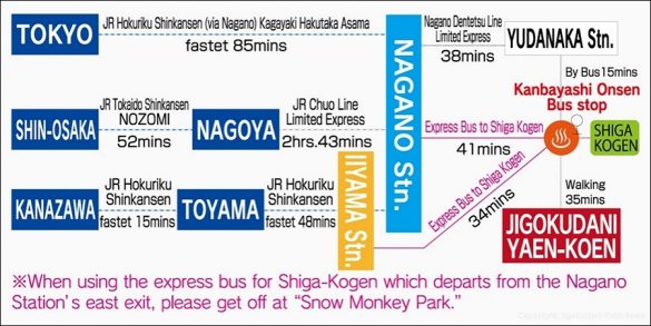 Jigokudani Monkey Park: How To See Snow Monkeys In Japan