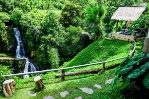 Layana Waterfall & Warung In Ubud, Bali