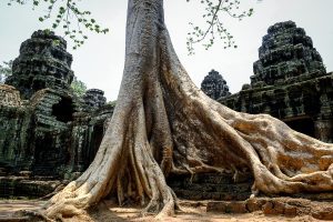 Angkor Wat Cambodia Temple Travel Guide And Map