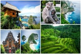 Ubud Bali Travel Guide: 33 Best Things To Do