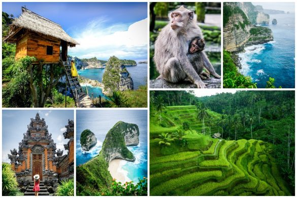 Bali Travel Guide: Tips & Blog For Indonesia