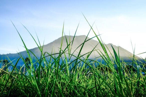 Mount Batur Hike In Bali: How To Do The Sunrise Trek