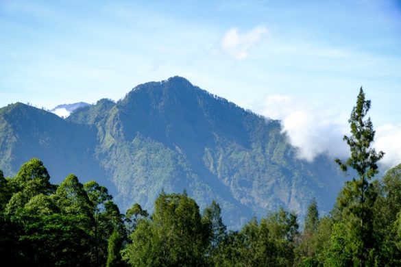 How To Visit Trunyan Cemetery: Bali's Skull Island
