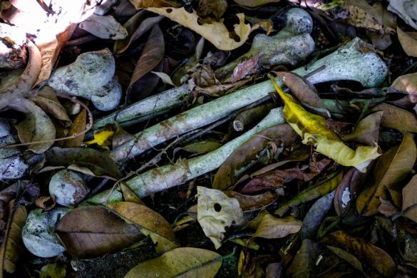 How To Visit Trunyan Cemetery: Bali's Skull Island