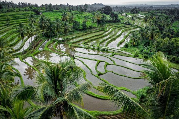 Bali Drone Photography: 52 Aerial Images From Indonesia
