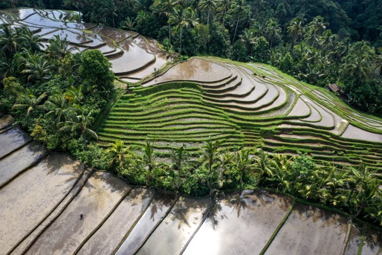 Bali Drone Photography: 52 Aerial Images From Indonesia