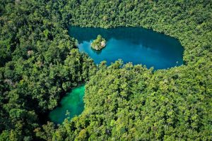 Sombori Island: Raja Ampat's Twin Paradise In Sulawesi