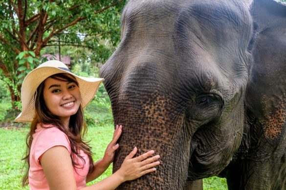 How To Visit Tangkahan Elephant Sanctuary In Sumatra