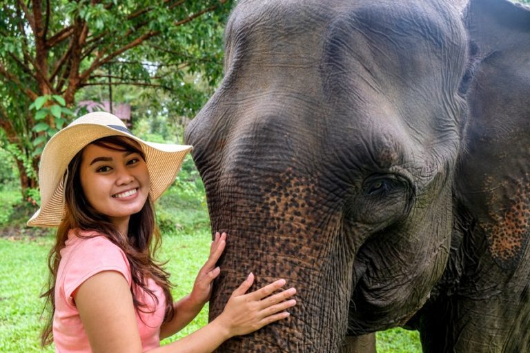 How To Visit Tangkahan Elephant Sanctuary In Sumatra