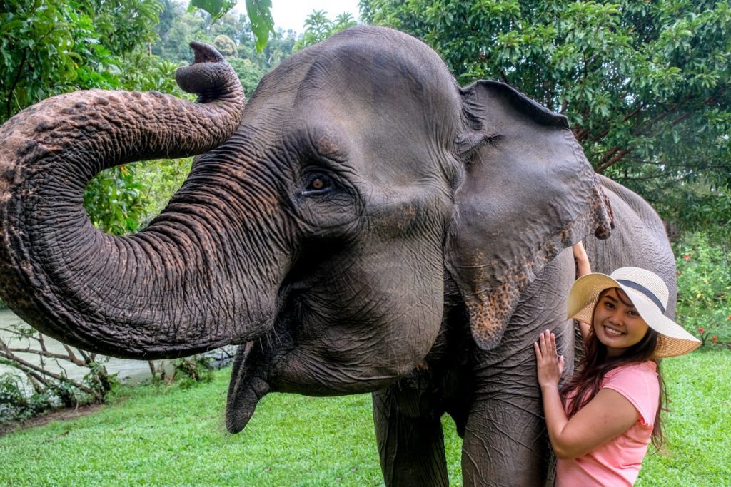 Tangkahan Elephant Sanctuary Travel Guide (Sumatra Indonesia)
