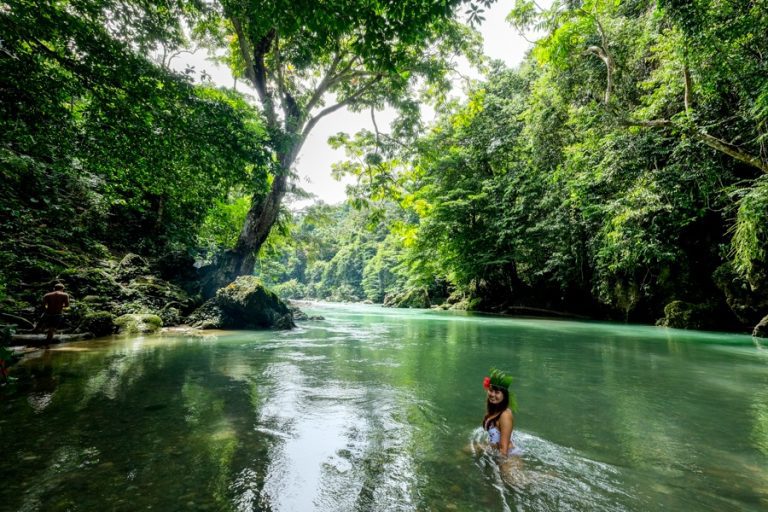 How To Visit Tangkahan Elephant Sanctuary In Sumatra