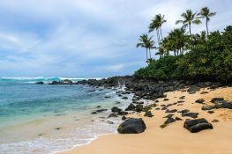 11 Best North Shore Oahu Beaches In Hawaii