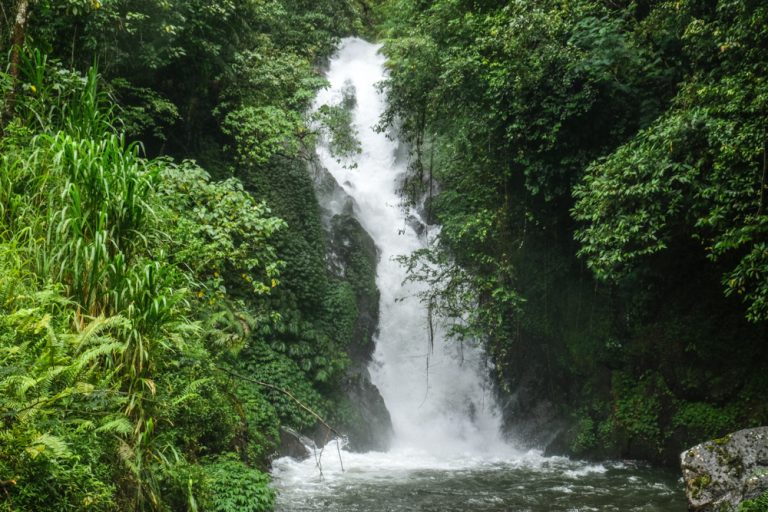 43 Best Waterfalls To See In Bali (+Map)