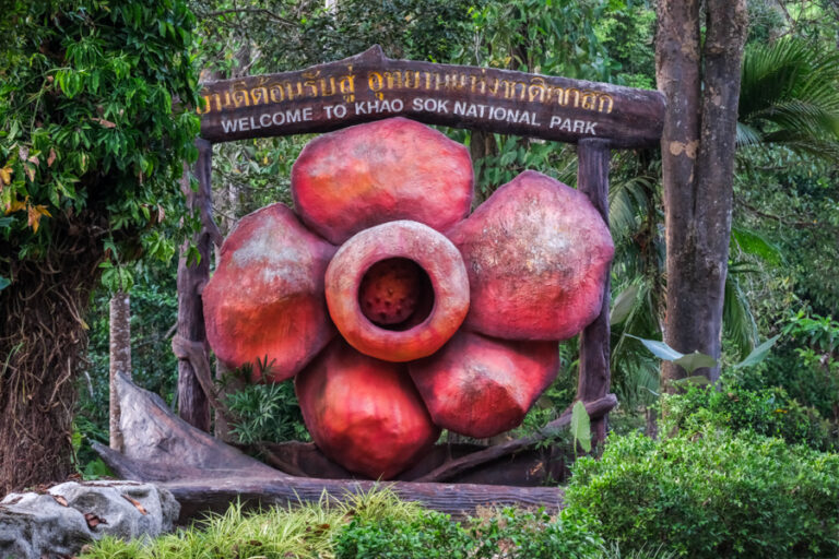 How To Visit Khao Sok National Park In Thailand