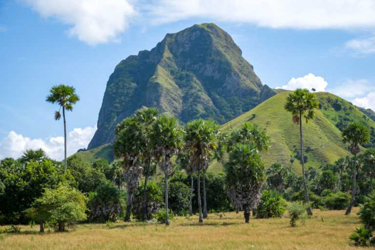 How To Visit Nuca Molas: Jurassic Park Island In Flores