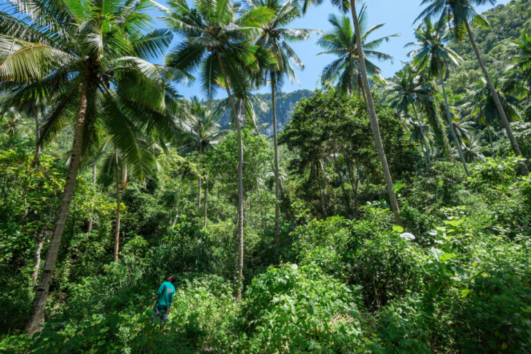 Buton Island Travel Guide For Sulawesi, Indonesia